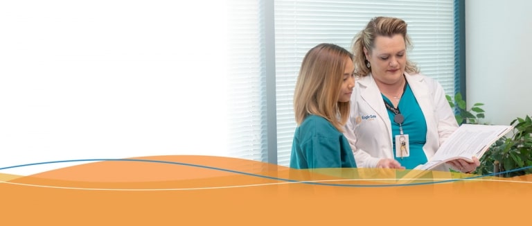 Online Master's in Nursing Program: Earn Your MSN Degree at Eagle Gate ...